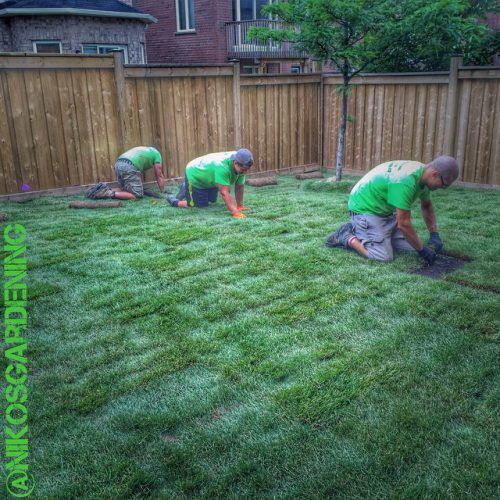 How Much Does Sod Installation Cost in Ontario in 2026 (Updated)